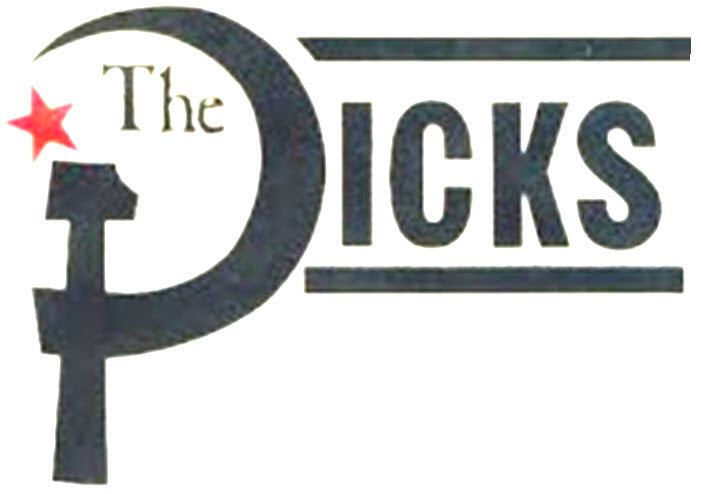 DICKS - LOGO BUTTON PIN – Headline Records