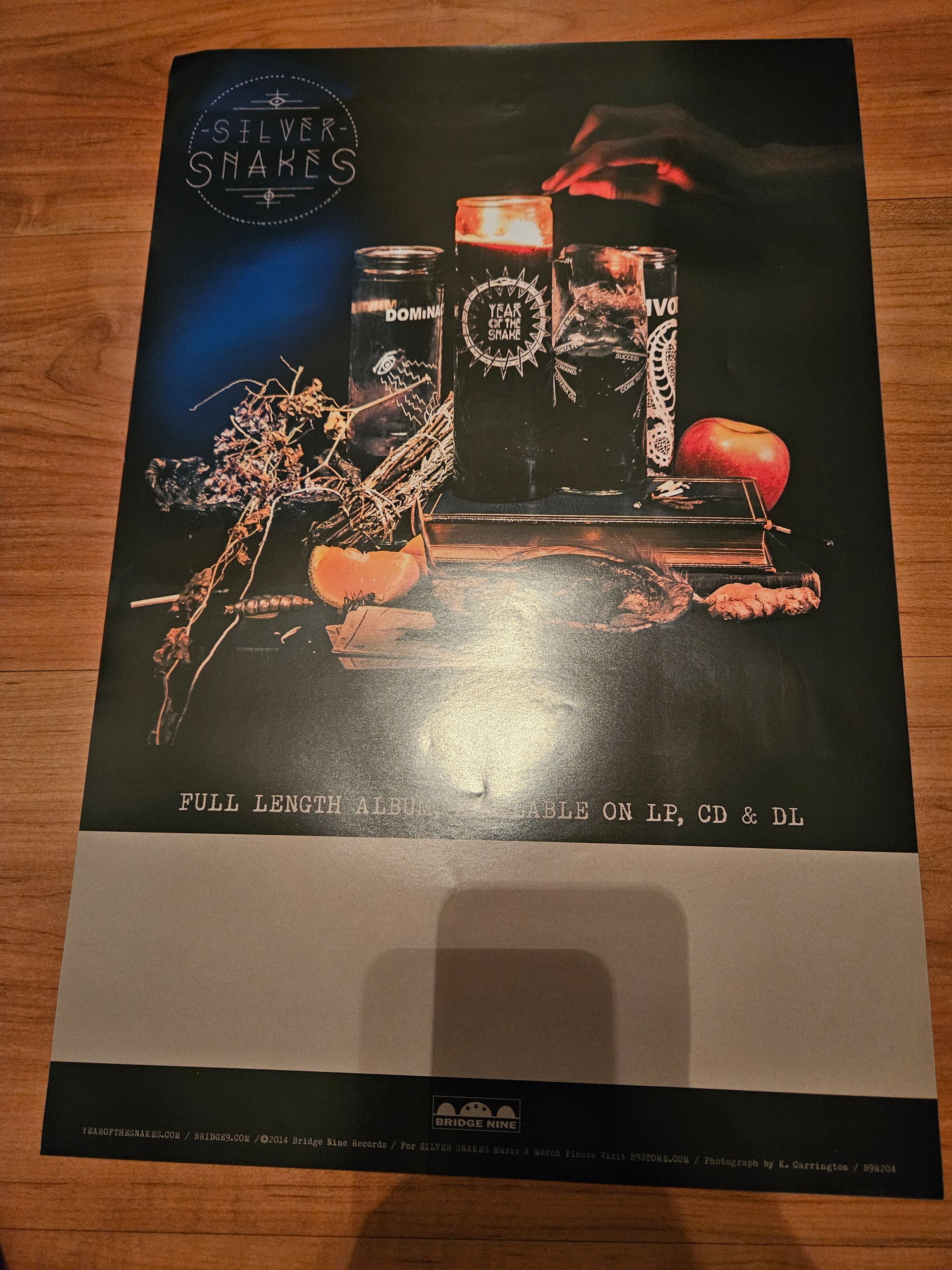 SILVER SNAKES POSTER – Headline Records