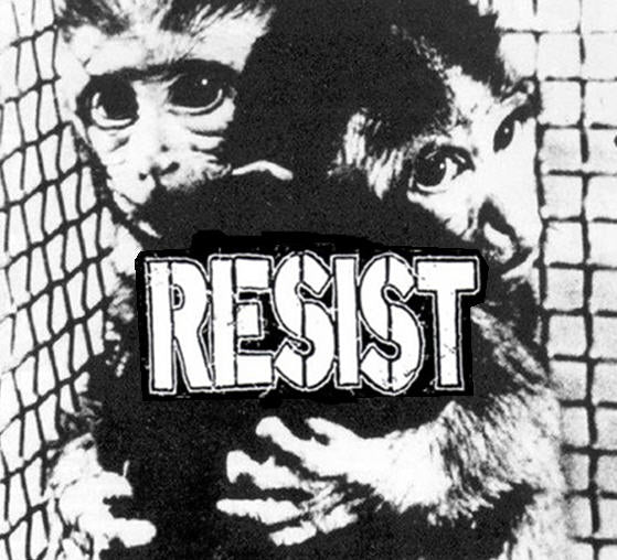 RESIST MONKEYS BUTTON PIN – Headline Records