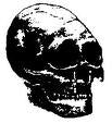 MAN IS THE BASTARD - SKULL BUTTON PIN – Headline Records